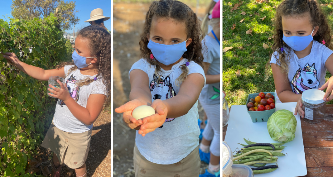{SPONSORED} A Day on the Farm: San Diego’s Best New Camp Experience