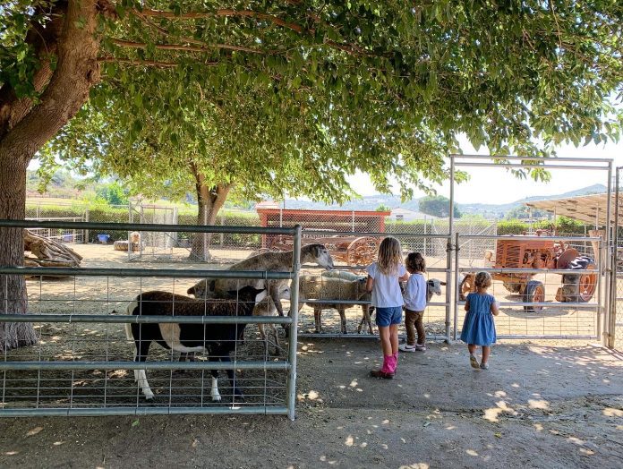 Family-Friendly Animal Farms in San Diego: 2025