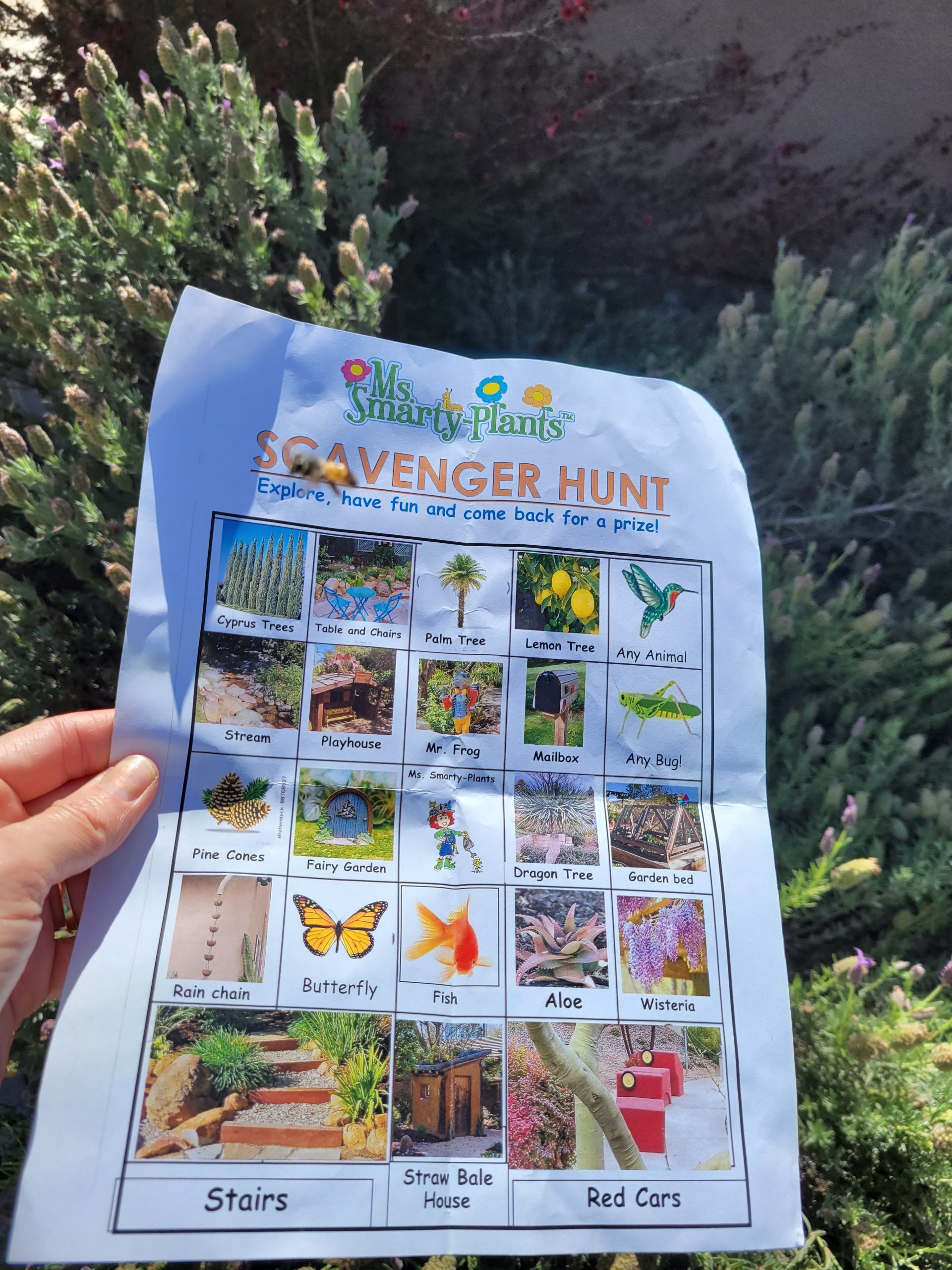 10 Must-Dos When Visiting The Water Conservation Garden!