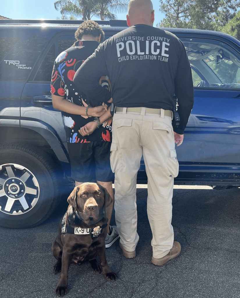 Meet Chewie an Electronic Storage Detection (ESD) Police K9 at Family ...